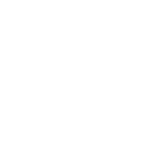 Gogalgai Toys: Mindful Wooden Creations for Joyful Learning